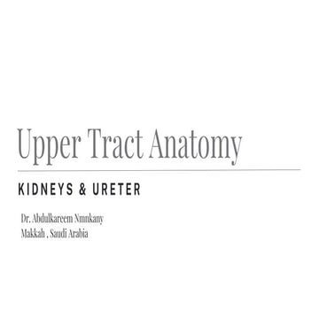 Upper Tract Anatomy detailed from Campbell.pdf