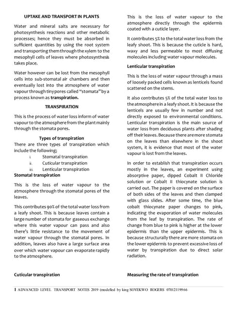 Uptake and transport in plants updated 2020 | PDF Uptake and transport in plants updated 2020 | PDF