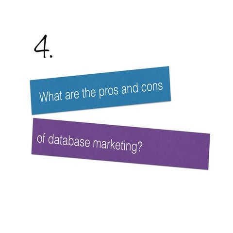 What are the pros and cons of database marketing? | PDF