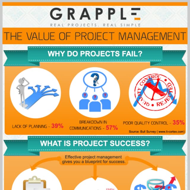 Why Projects Fail - What The Stats Say | PDF