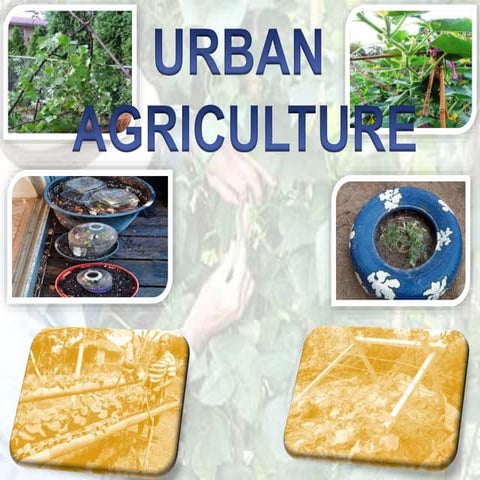 URBAN-AGRICULTURE powerpoint presentation | PPTX