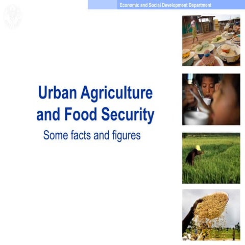 Urban Agriculture and Food Security - Some Facts and Figures | PPT