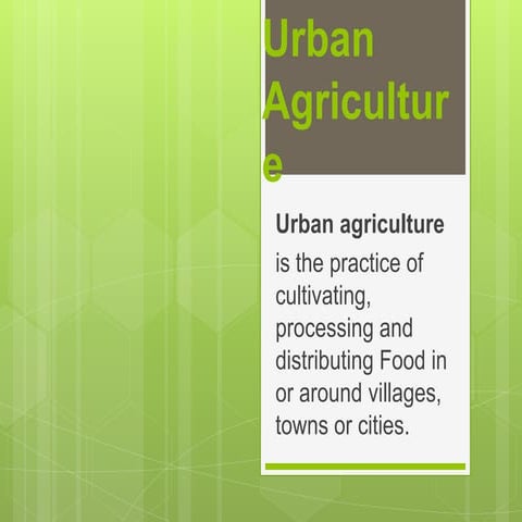 Urban agriculture presentation (2) | PPTX
