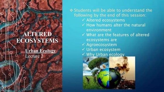 6. Human Environment System.pptx