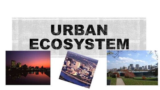 LIMITING REACTANT AND THE AMOUNT OF PRODUCTS FORMED.pptx | Chemistry ...