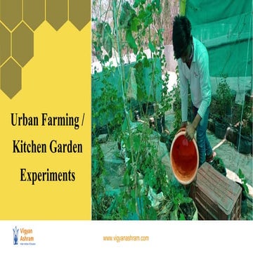 Urban Farming Kitchen Garden | PPT