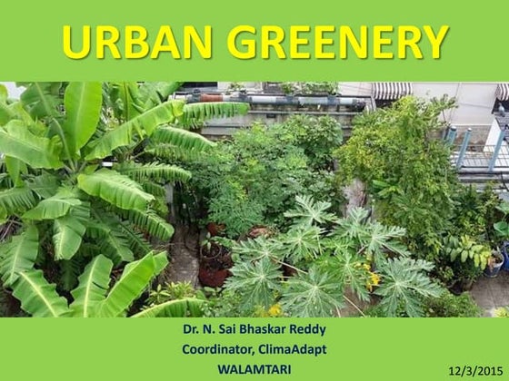 Barangay Ordinance on Proper Waste Disposal | DOCX