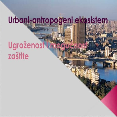 Tropske kišne šume | PDF
