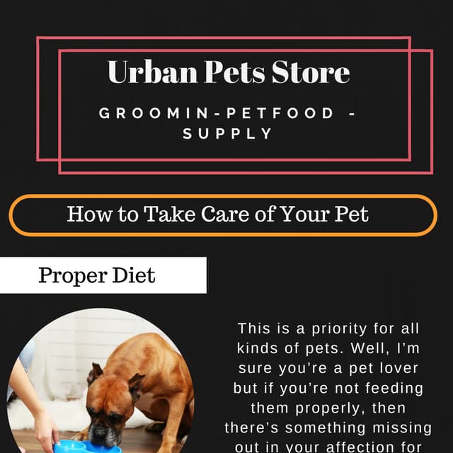 How to take Care of your Pets at Home? | PDF