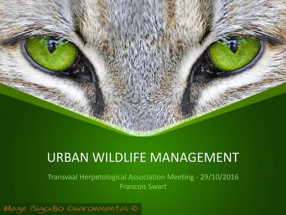 Wildlife Corridors in Urban Environments | PPTX