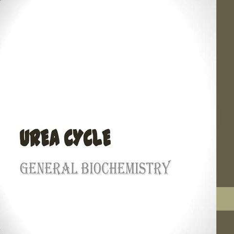 Urea cycle | PPTX