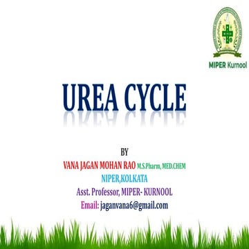 Urea cycle | PPTX