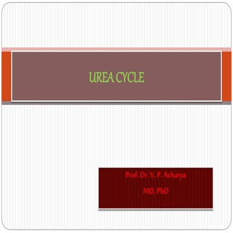 Urea Cycle Medical Coding Study Smarter Urea Cycle Urea Reduces The