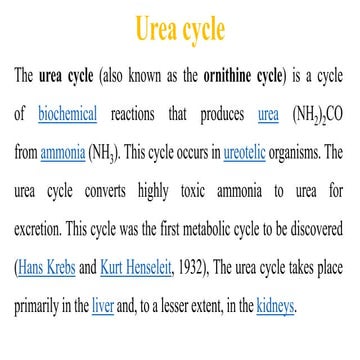 Urea cycle.pptx