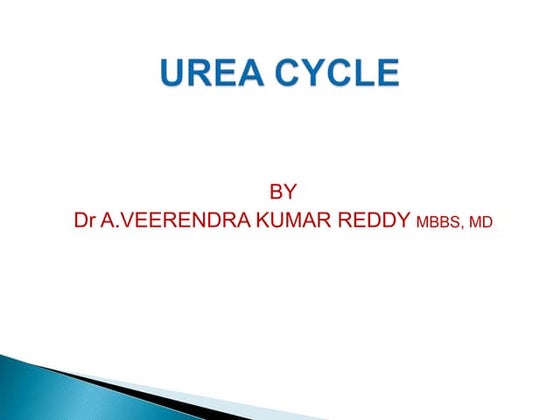Urea cycle | PPT