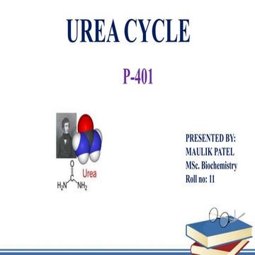Urea Cycle Lehninger Effects Of Ammonia Starvation On Energy