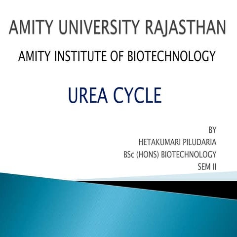 Urea cycle | PPT