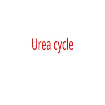 Urea cycle and creatinine cycle in protein synthesis | PPTX