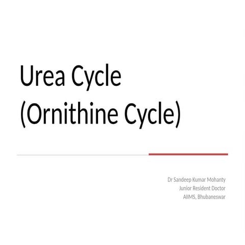Urea_Cycle_Presentation in biochemistry .pptx