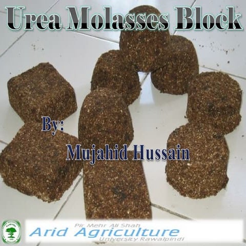 Urea Molasses Block | PPT