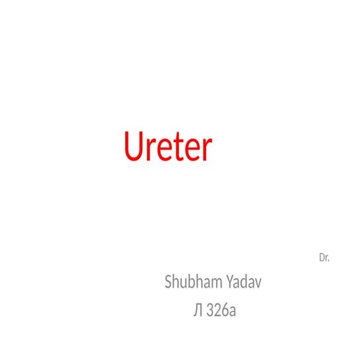 Anatomy of Ureter | PPTX