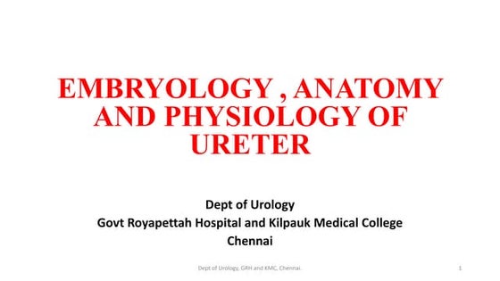 Physiology & Pharmacology of Renal pelvis and Ureter.pptx