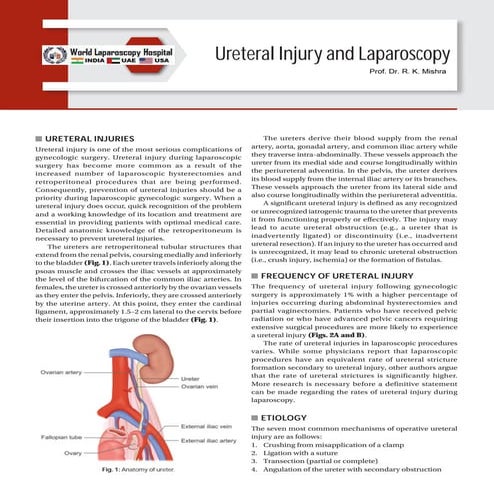 Ureteral Injury and Laparoscopy | PDF