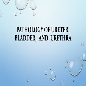Ureter pathology and urinary bladder.pptx