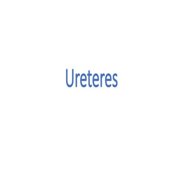 URETER Y VEJIGA.anatomia humana segun la tarjet | PPTX