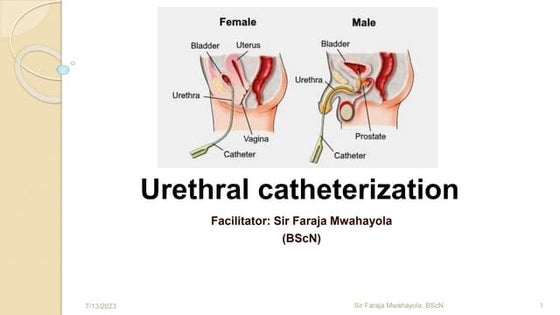 Urinary Catheterization(Definition, indication, types, procedure).pptx ...