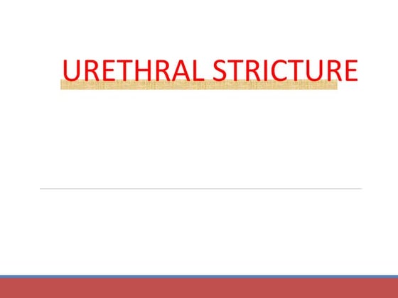 Evaluating Tools for Characterizing Anterior Urethral Stricture Disease ...