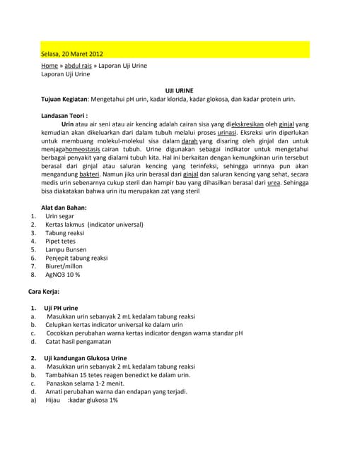 Laporan Praktikum Biologi "UJI KANDUNGAN URIN" | DOCX