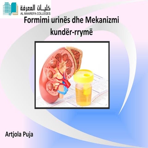 Urina dhe mekanizmi kunër-rrymë | PPT