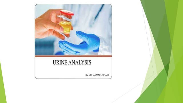 TYPES AND COLLECTION OF URINE SPECIMEN.pptx