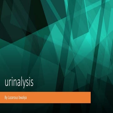 urinalysis [Autosaved].pptx how to interpret | PPTX