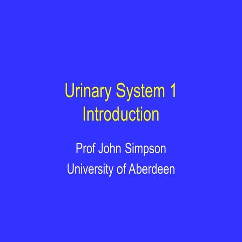 Medical coding (Urinary system)Power point presentations | PDF