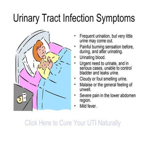 Urinary Tract Infection Symptoms | PPT | Infectious Diseases | Diseases ...