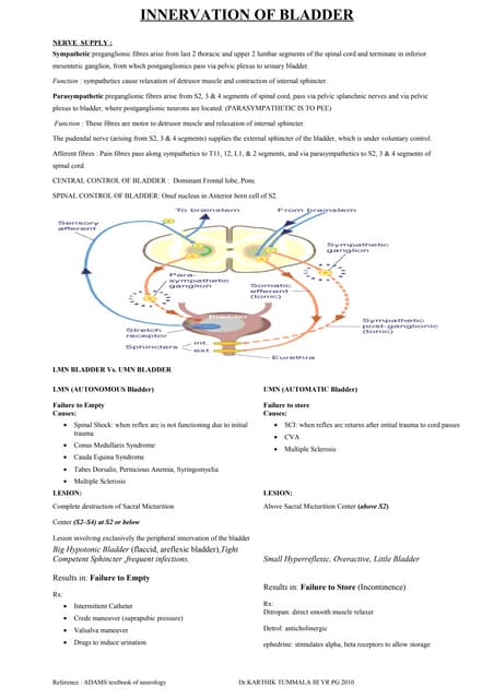 Nurse brain sheet_with_shift_hours | PDF