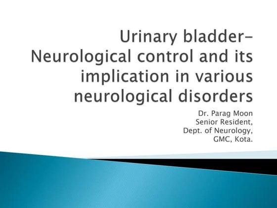Bladder innervation | PPT