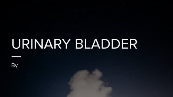 anatomy of Urinary bladder | PDF