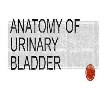 Surgical Anatomy of Urinary bladder.pptx