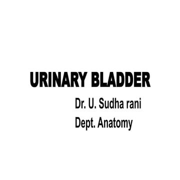 Urinary bladder (Anatomy) | PPTX