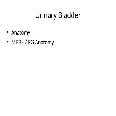 Uterus_Anatomy_Presentation 123 345.pptx