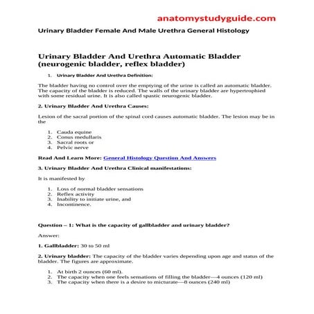 Urinary Bladder Female And Male | PDF