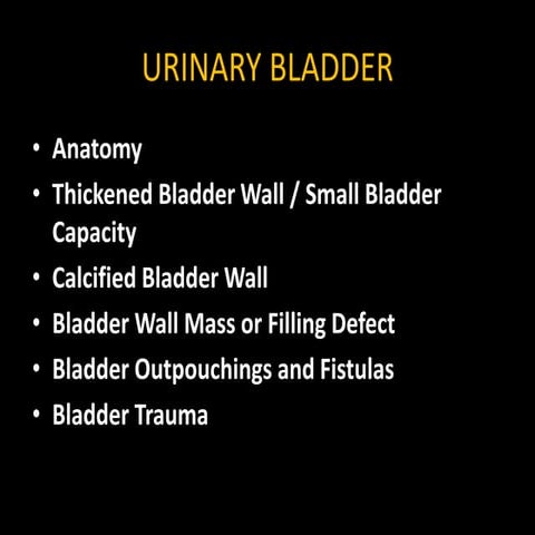 Urinary bladder pathologies | PPTX