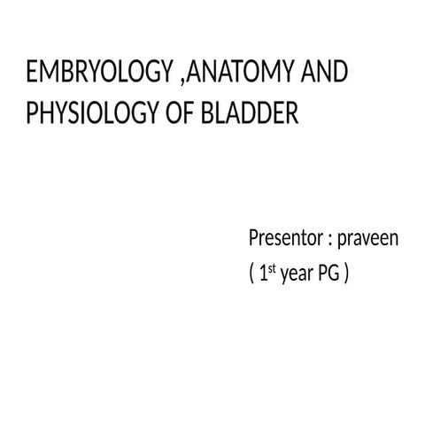urinary bladder anotomy and patho physiology ppt.pptx