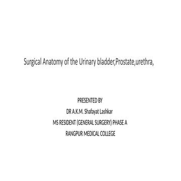surgical anatomy of urinary bladder, prostate, urethra.pptx