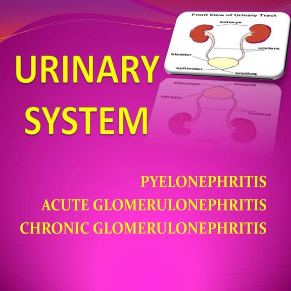 Urinary disorders - watson | PPTX | Digestive Disorders | Diseases and ...