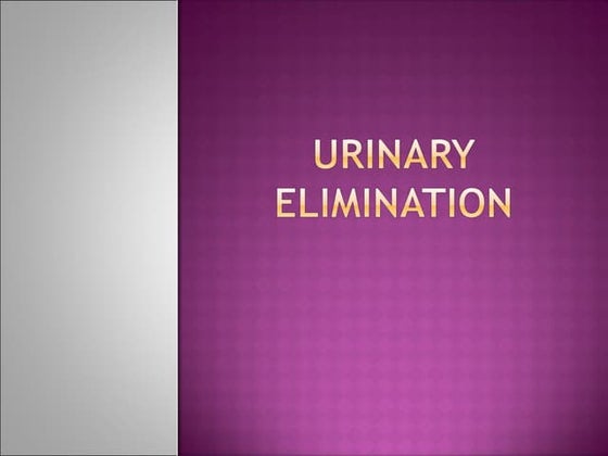 Chapter 16. Urinary Elimination | PPT