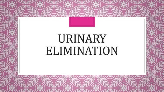 Catheterization | PPTX | Medical Health